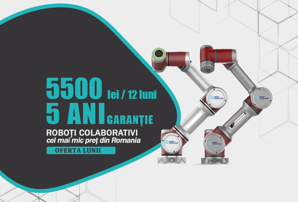 Robot Industries - Roboti industriali colaborativi | Linii de producere ...